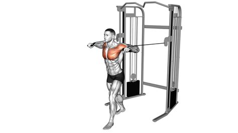 Top Exercises With Ez Bar Ez Curl Bar Workouts For Maximum Results