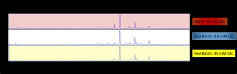 Glycan Analysis With Hilic Hplc Three Representative Chromatograms