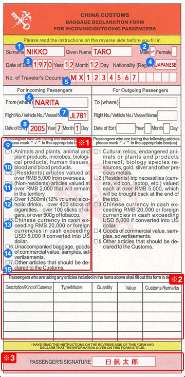 Jal 中国税関申告書記入例（入国用）