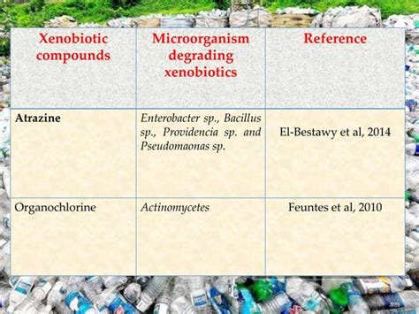 Biodegradation Of Xenobiotics Pptx