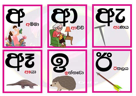 Printing Center වර්ණ පින්තූර සහ නම සහිත Photo Board ඒකේ