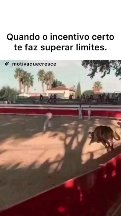 Anderson Cristóvão Posted On Linkedin