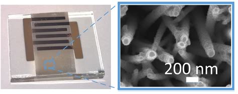 Room Temperature Nanowire Gas Sensor FORTH ICE HT