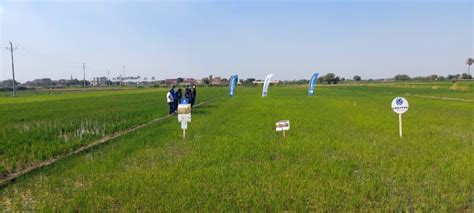 Corteva Agriscience On Linkedin Throwbackthursday Rinskor Keepgrowing