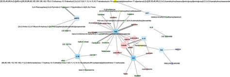 The Interaction Of Candidate Compounds And Target Proteins The Blue