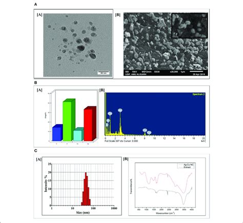 A [a] Tem Sem Analysis Depicting Shape And Size Of As Synthesized