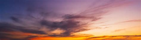 Program Alex Macfarlane