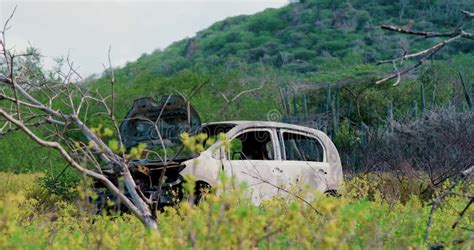 Stolen Car Used For Crime Left Burned Out In Remote Grassy Field Stock