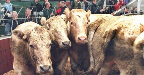 Processed Meat Cancer Link Is With High Consumption Says Food Body