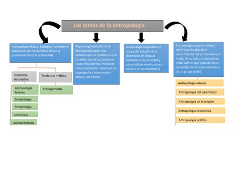 Arqueologia mapa conceptual Tendencia métrica Antropometría