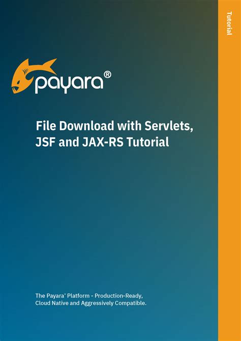 Servlets Jsf And Jax Rs Tutorial Payara Services Ltd