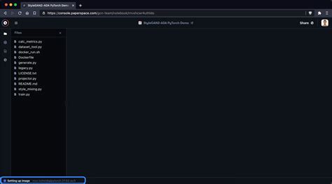 How To Run StyleGAN ADA PyTorch Paperspace Blog