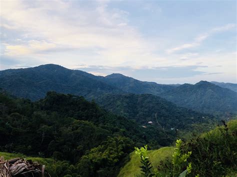 Img Daisy Rae Travel