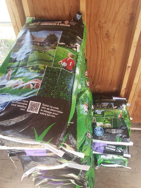 Grass Seed 10 Lb Bag Vanica Inc