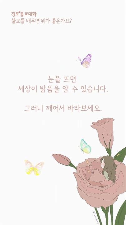 불교를 배우면 뭐가 좋은가요 행복은 봄볕 들듯 나에게 법륜스님 마음공부 마음챙김 정토불교대학 Youtube