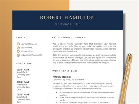 Modern Executive Resume Template Professional Cv Template Norway
