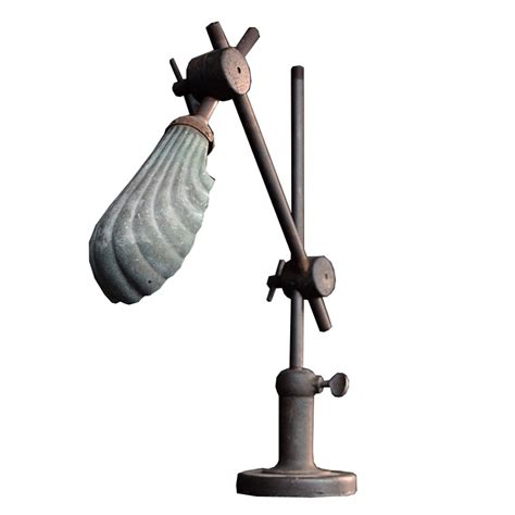 Clam Shell Lamp The House Of Antiques