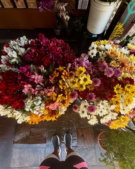 Júlia Yamaguchi Juyamaguchi • Instagram Photos And Videos