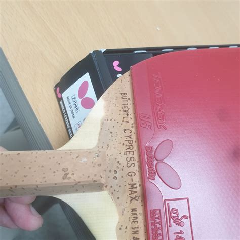 Daum 카페