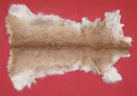 Tanned Furs Cougar Body Skin Fella Furs