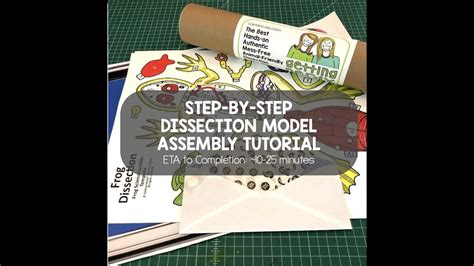 Frog Dissection Made Easy Free Scienstructable Template Included