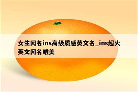 女生网名ins高级质感英文名 ins超火英文网名唯美 INS相关 APPid共享网