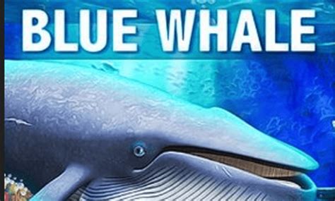 The Deadly Blue Whale Game That Resulted In Several Deaths
