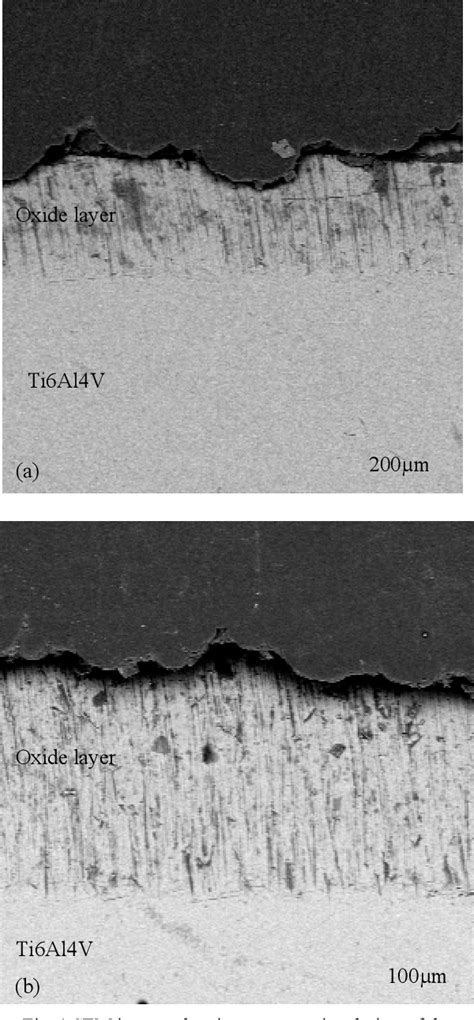 Figure 2 From Investigation Of Titanium Oxide Layer In Thermal Electrochemical Anodizing Of