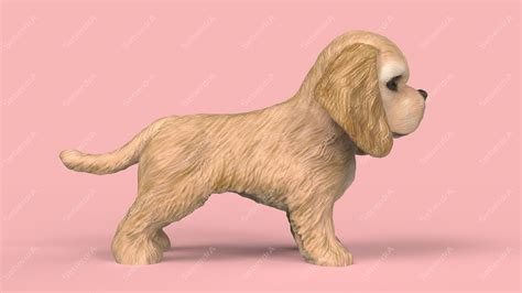Cute Puppy American Cocker Spaniel STL And VRML 3D Model 3D Printable