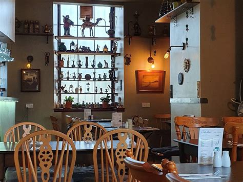 Piccolo Dundee 2025 Reviews And Information