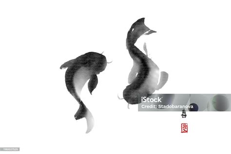 전통적인 일본식 스미에 그려진 검은 잉어 잉어 손 상형 문자 행운과 사랑을 포함 수채화에 대한 스톡 벡터 아트 및 기타 이미지