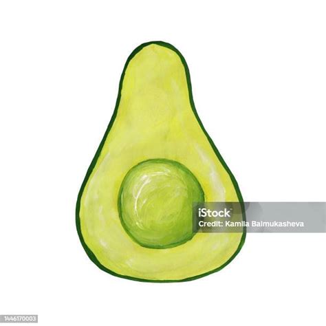 Avocat Demicoupé Isolé Sur Blanc Illustration Réaliste Dessinée À La
