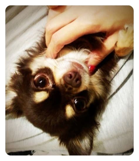 癒 篠原真衣 オフィシャルブログ Mine Powered By Ameba