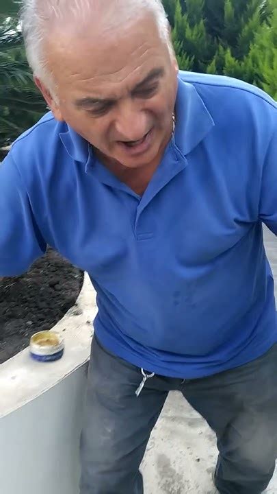 საგოს პალმის იგივე ციკასის გამრავლება ამონაყარით Youtube