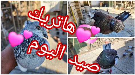 🥰صيد اليوم هاتريك صيد كلش حلو🥰🥰 Youtube