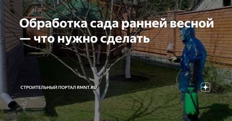 Обработка сада ранней весной — что нужно сделать | RMNT.RU | Дзен