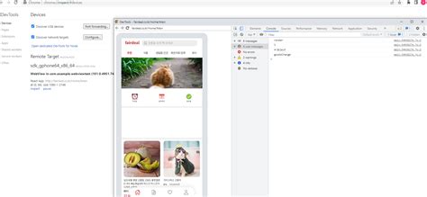 Android Webview Debugging Ethank Dev