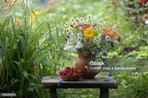 점토 용기와 완 익은 크림슨 라스베리의 전체에 화려한 꽃의 무리와 함께 여름 정원에서 정 0명에 대한 스톡 사진 및 기타 이미지 0명 7월 과일 Istock