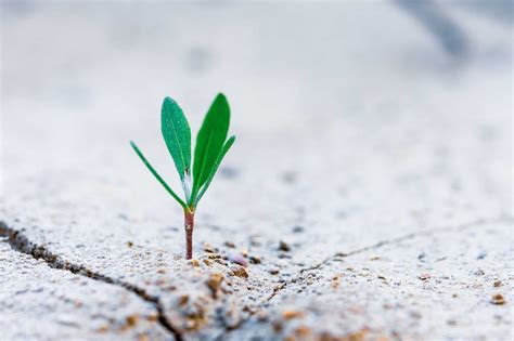 9 Growth Mindset Examples To Apply In Your Life