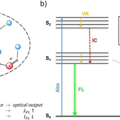 A Schematic Illustration ↑ And ↓ Indicate Increase” And Decrease” Download Scientific