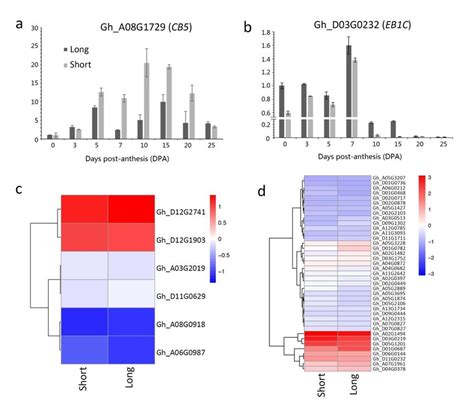 The Expression Trend Of Candidate Genes And Their Co Expressed Genes