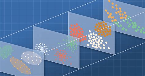 Segmentation Models Compared Whats Best Suited To Your Needs By