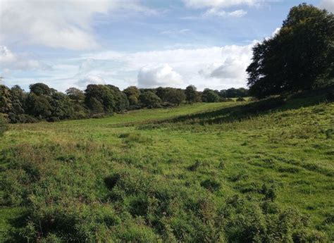 Scrubby Grass Field © Jim Smillie Geograph Britain And Ireland