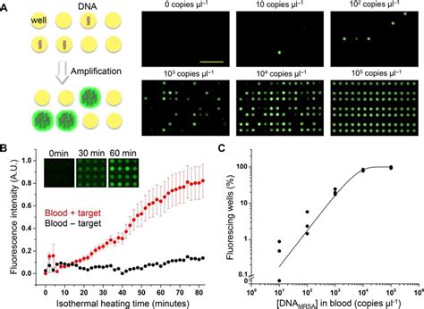 Quantitative Digital Amplification Of Nucleic Acid A Left Panel