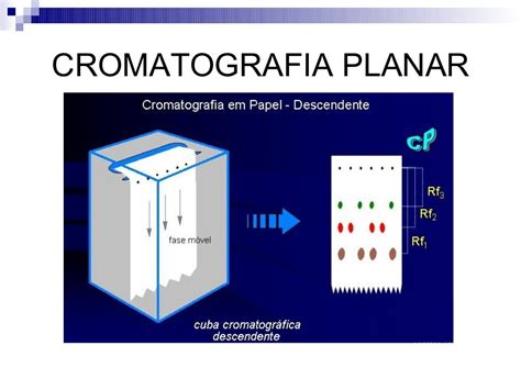 Cromatografia Princípios Cg