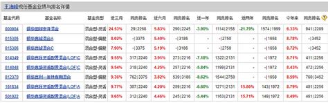 银华王海峰——波涛汹涌中的逆行者 老司基硬核测评 银华鑫盛lofsh501022 今日话题 银华王海峰，是一位独特的基金