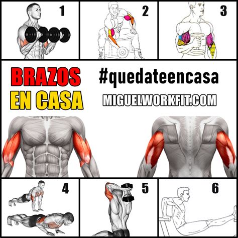 Ejercicios Para Brazos En Casa Rutina Bíceps Y Tríceps Min Ejercicios