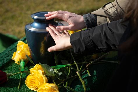 Miami Direct Cremations Cremation Society Of America