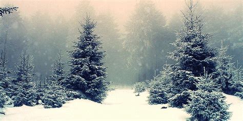 Snowfall  Find And Share On Giphy