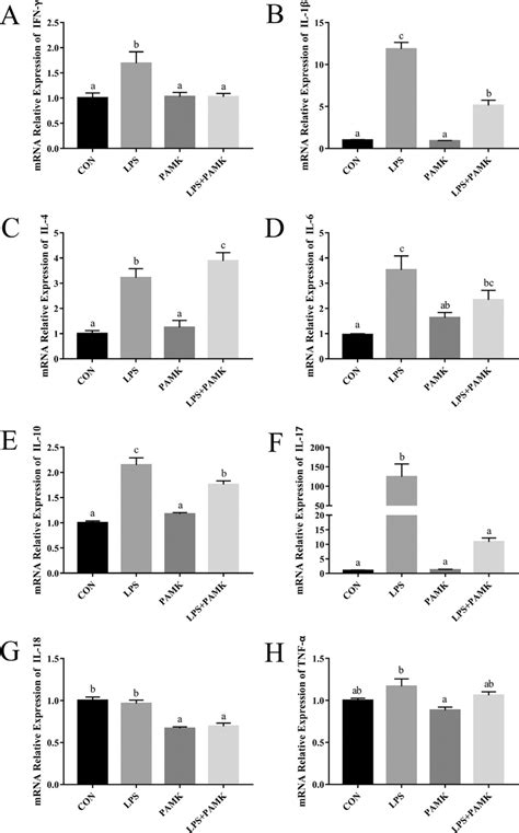 Effects Of Pamk On The Relative Mrna Expression Of Splenic Cytokine